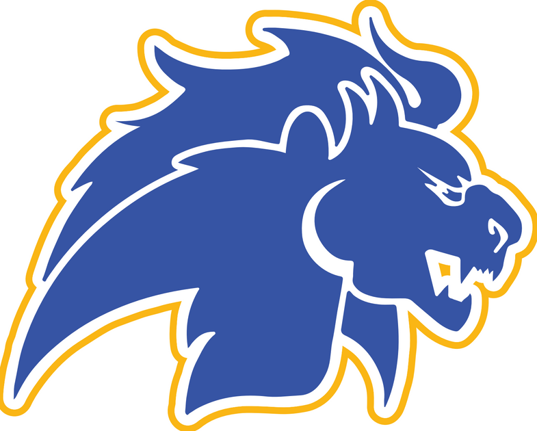 LORIS LIONS BASEBALL – BFIT540